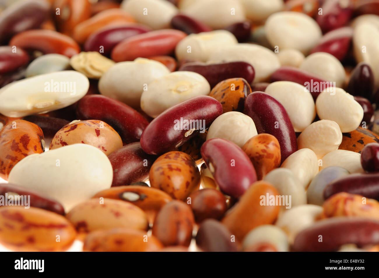 String bean seed hi-res stock photography and images - Alamy