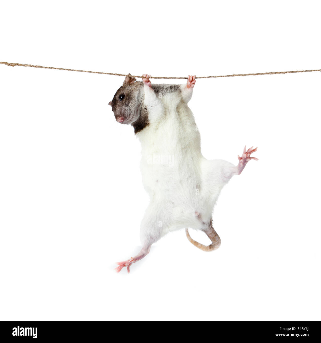 Rope clutch hi-res stock photography and images - Alamy