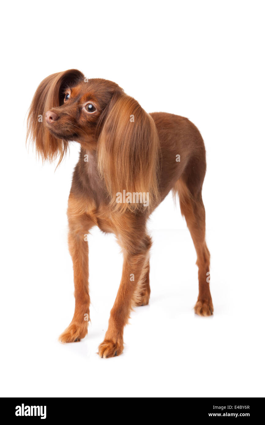 Russian clothes Cut Out Stock Images & Pictures - Alamy