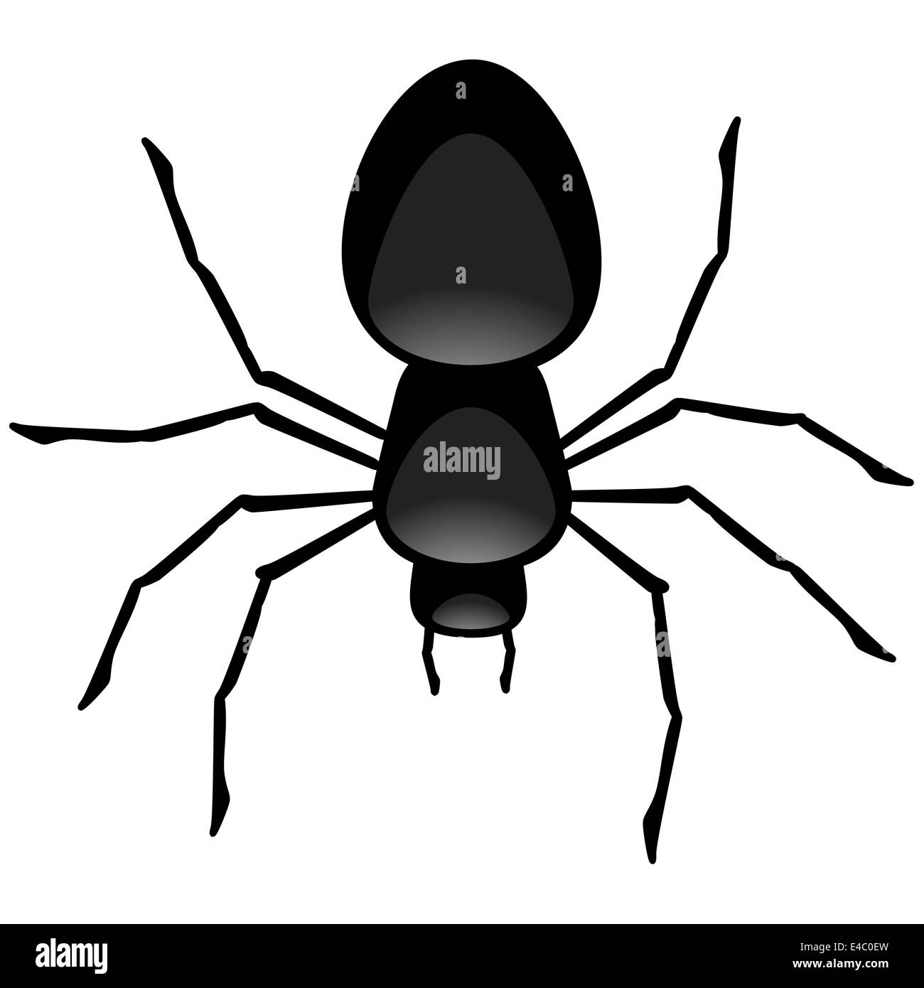 Spider sketch hi-res stock photography and images - Alamy