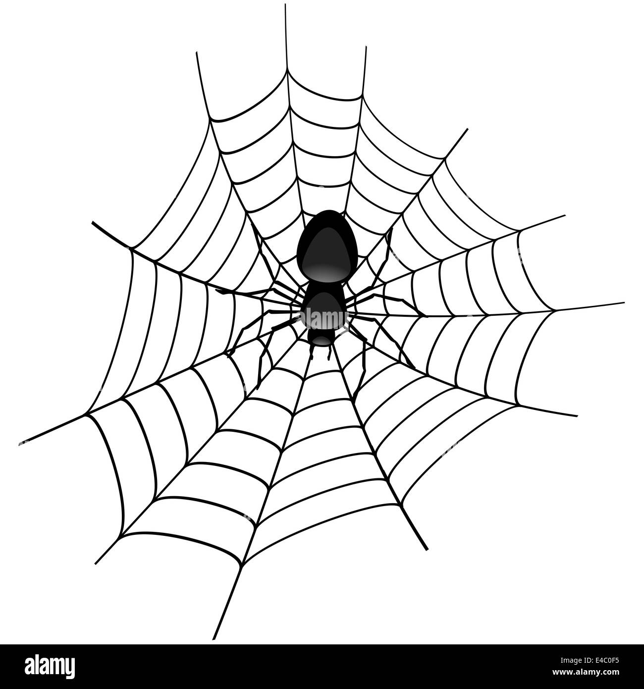 Spider in a Cobweb Stock Photo - Alamy