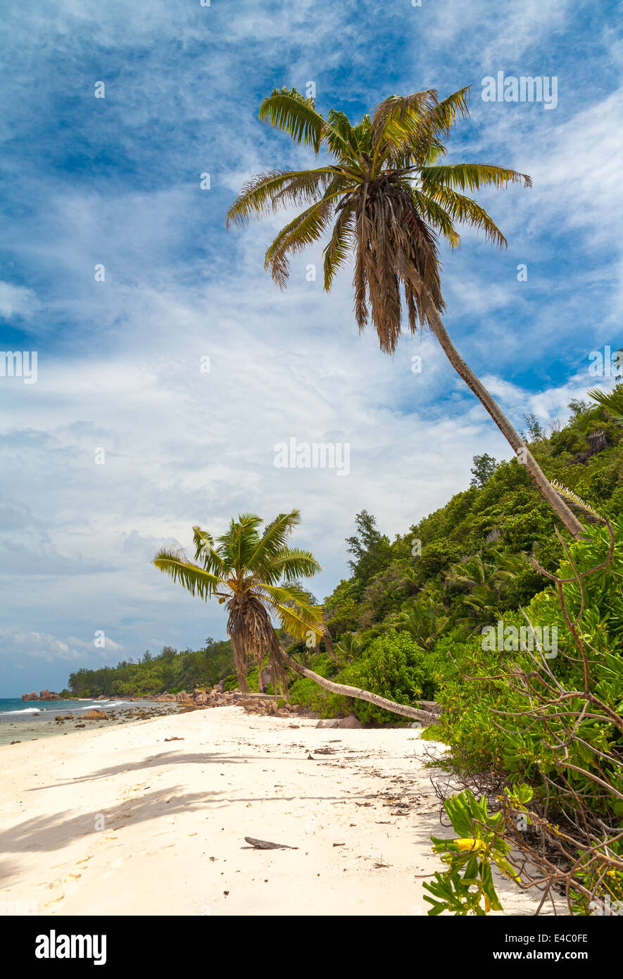 Deserted Tropical Beach In Paradise Stock Photo - Alamy