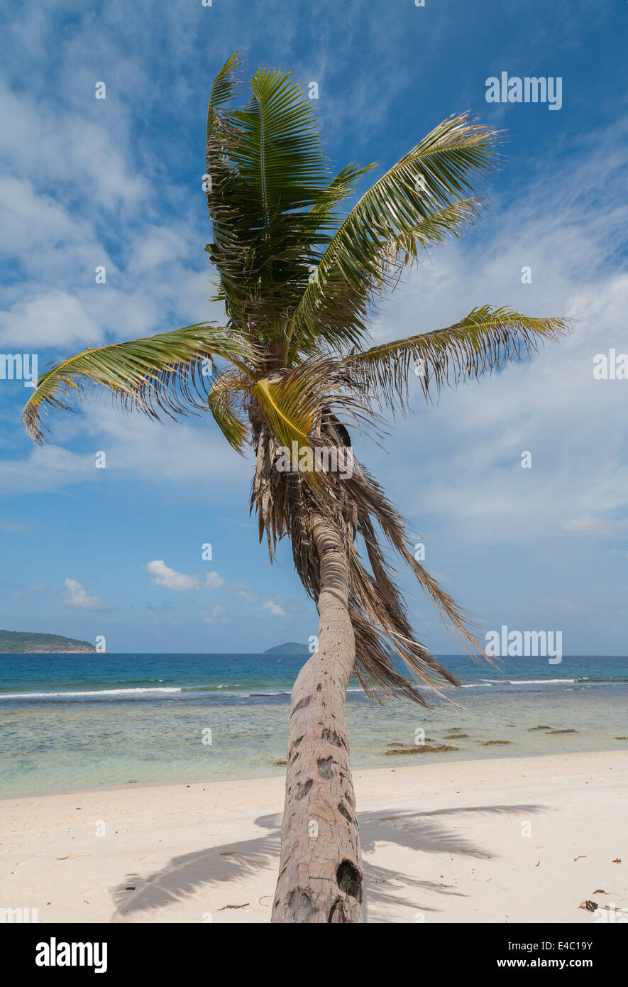 Stretching out to sea hi-res stock photography and images - Alamy