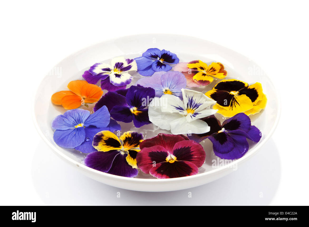 Plate with water sail flower Stock Photo - Alamy
