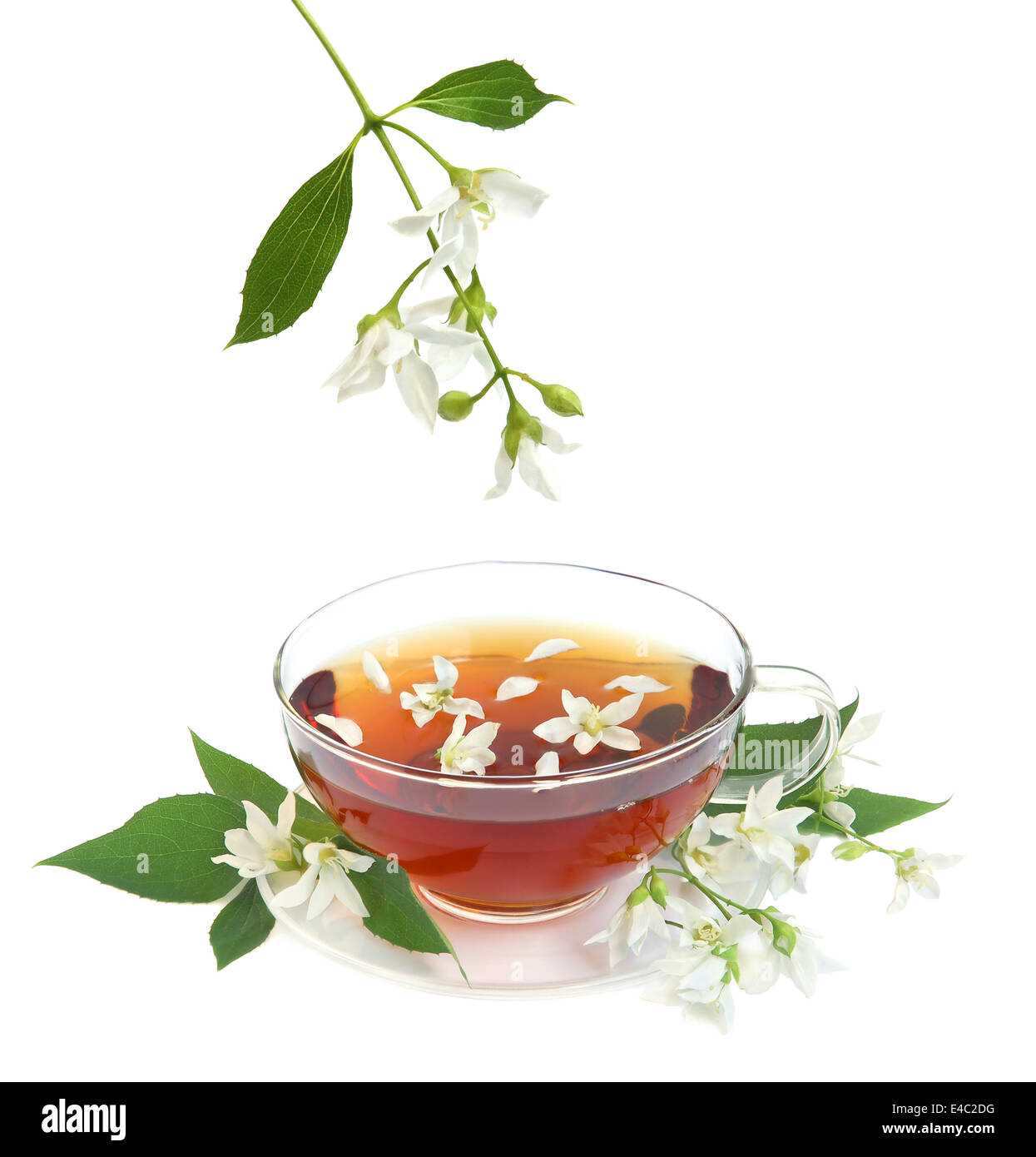 Jasmine tea hi-res stock photography and images - Alamy