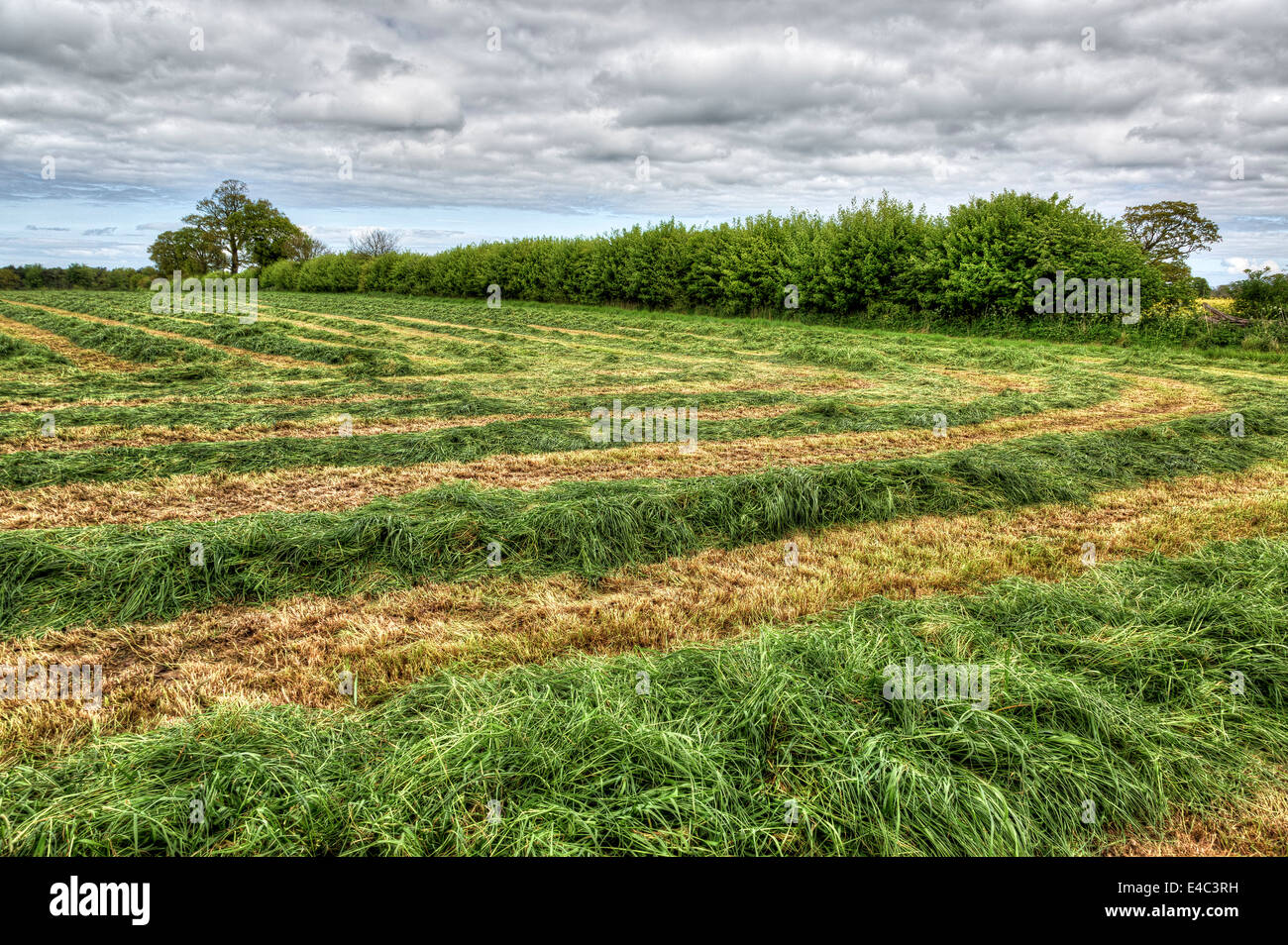 Haylage and silage crop being cut and rotated through the summer months ...