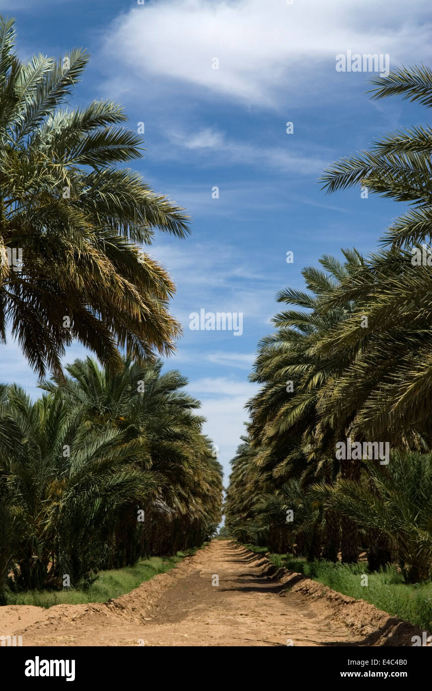 Dateland Arizona USA Stock Photo - Alamy