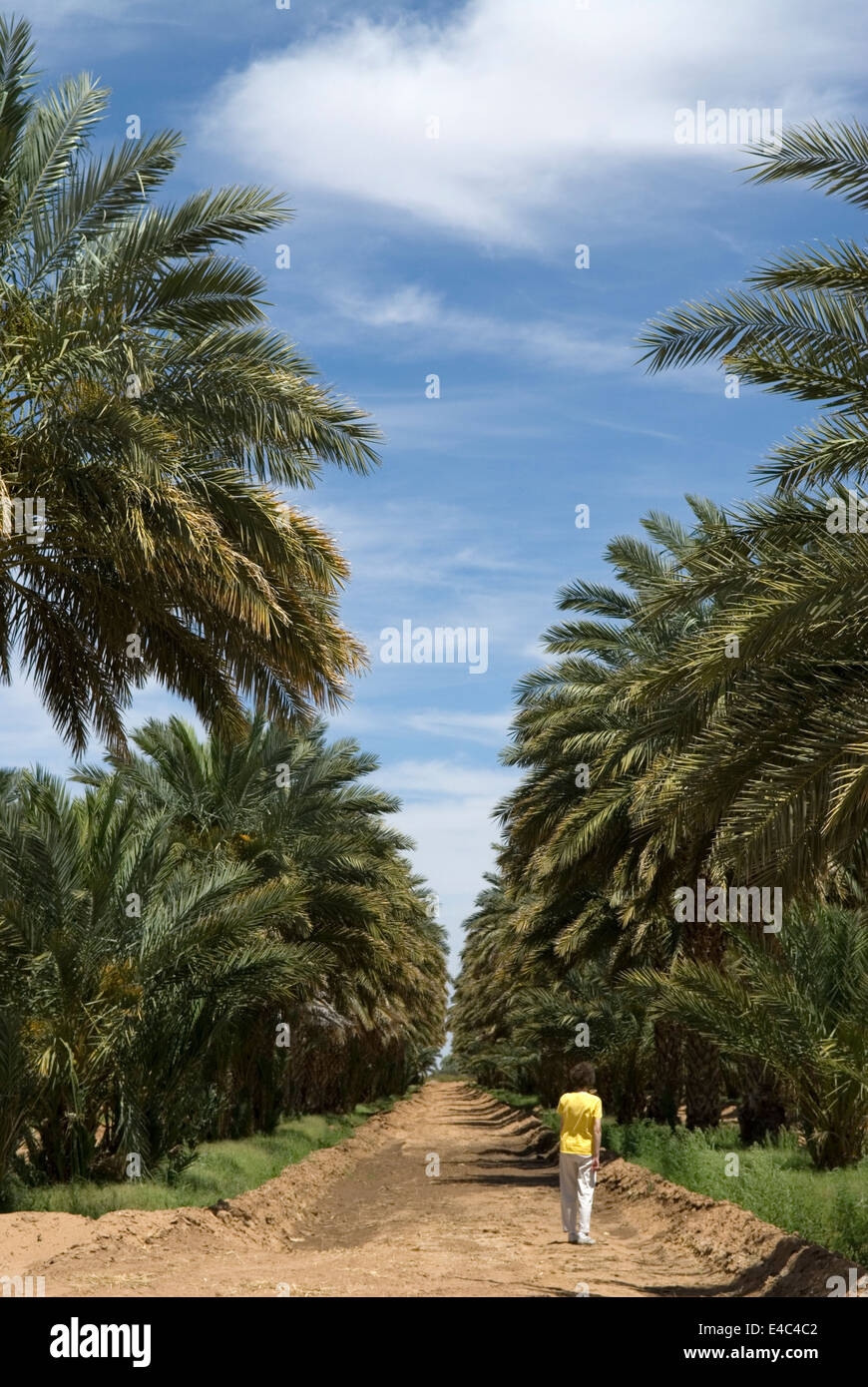 Dateland Arizona USA Stock Photo - Alamy