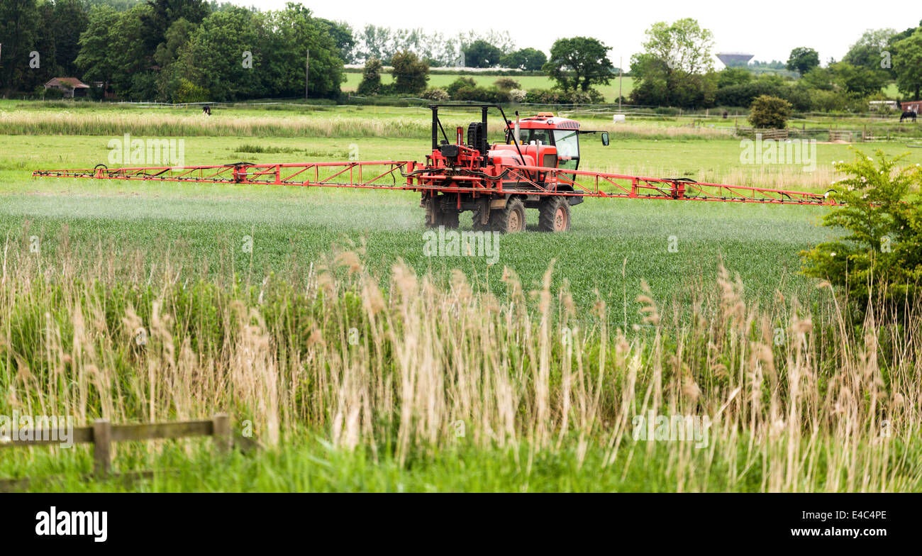 Tractor spraying crops british farmland. Norfolk Broads England UK ...