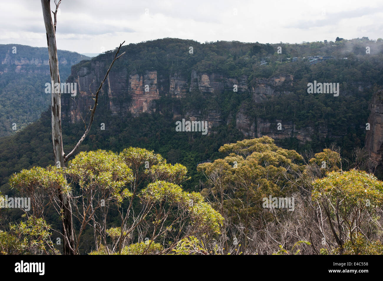 Blue Mountains popping out of the fog Stock Photo - Alamy