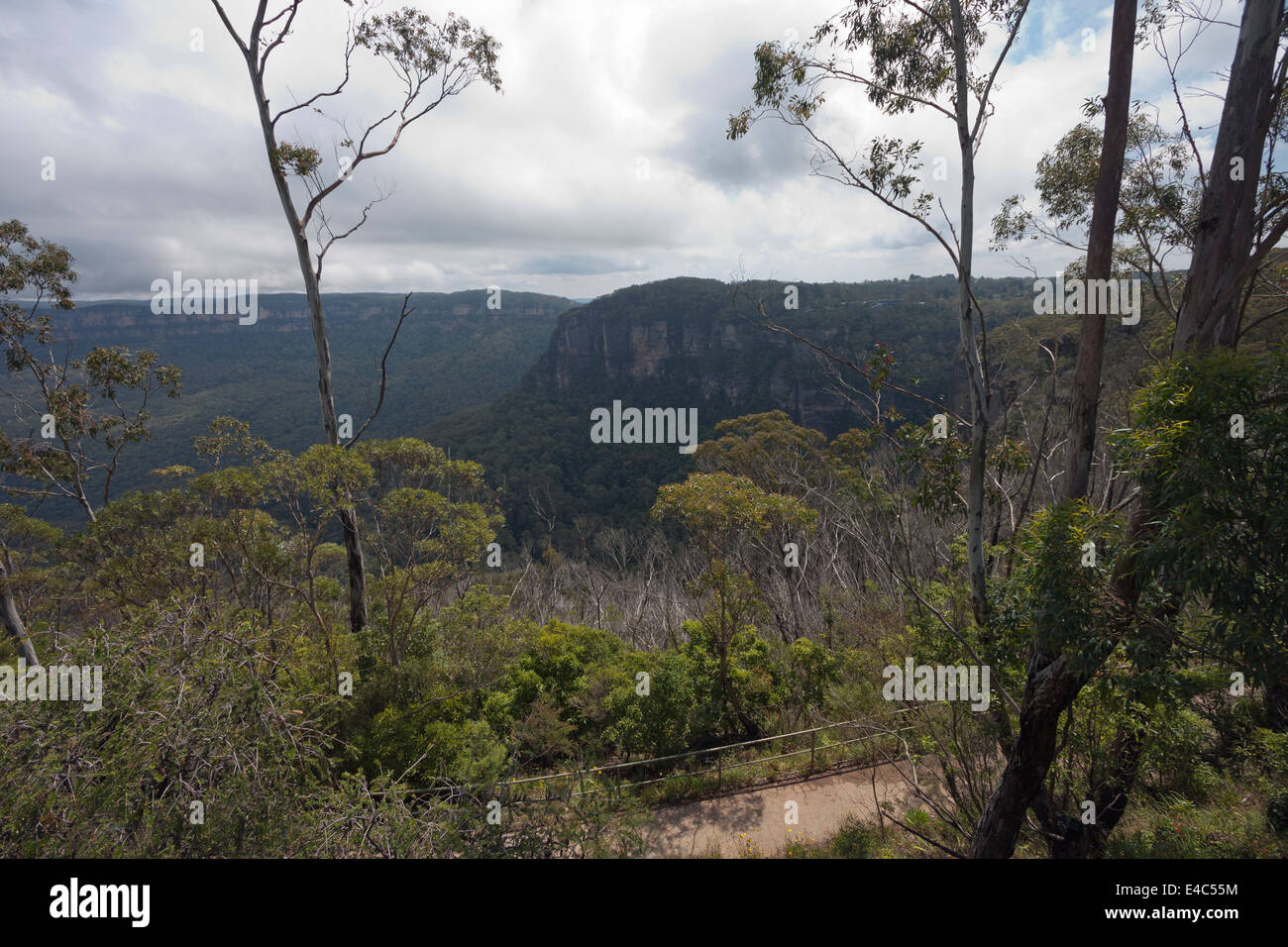 View from Echo Point Lookout Stock Photo - Alamy