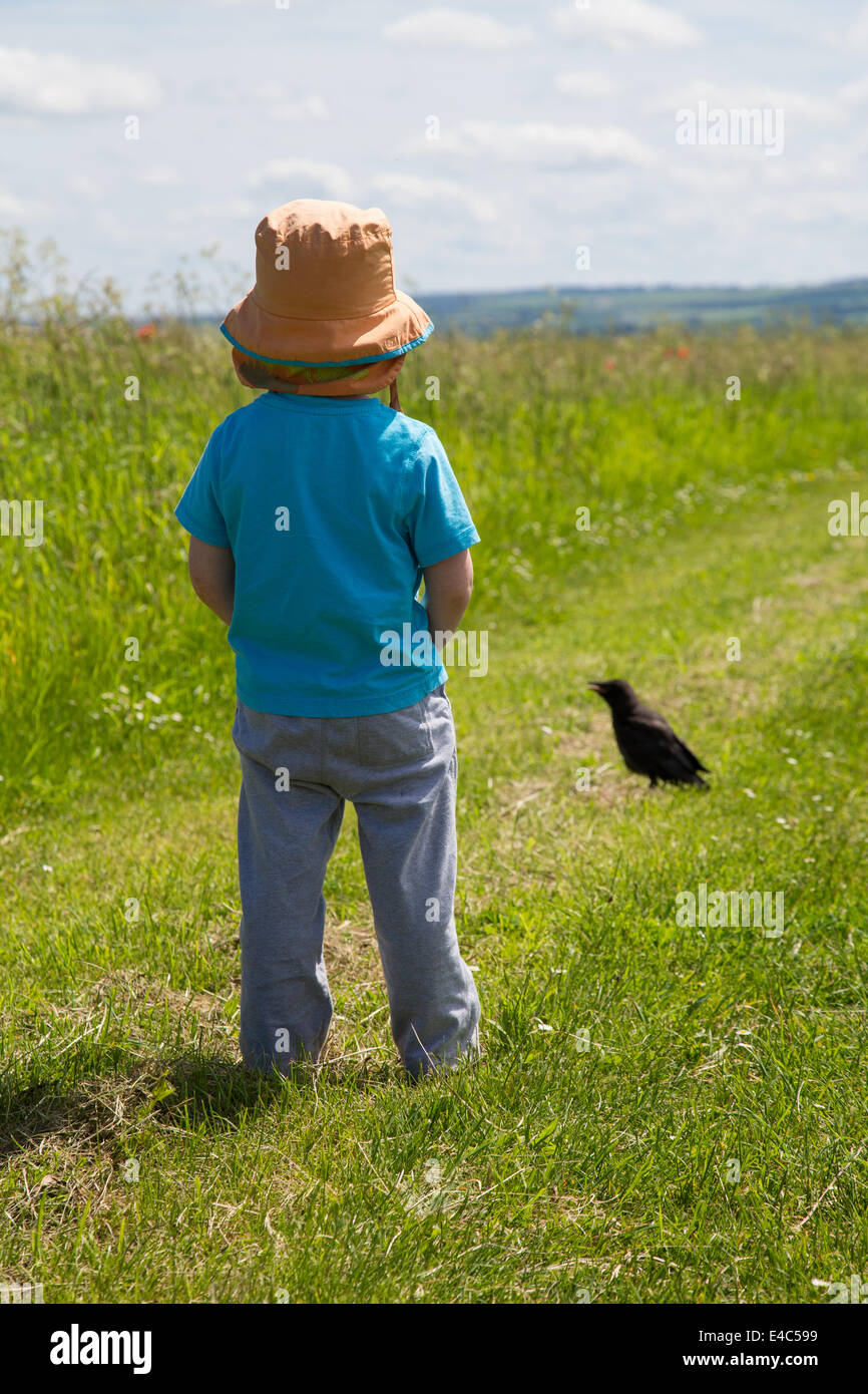 Small boy following a Crow Stock Photo - Alamy