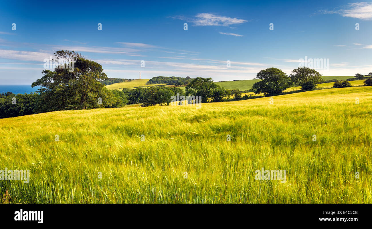 Gribbin head daymark hi-res stock photography and images - Alamy
