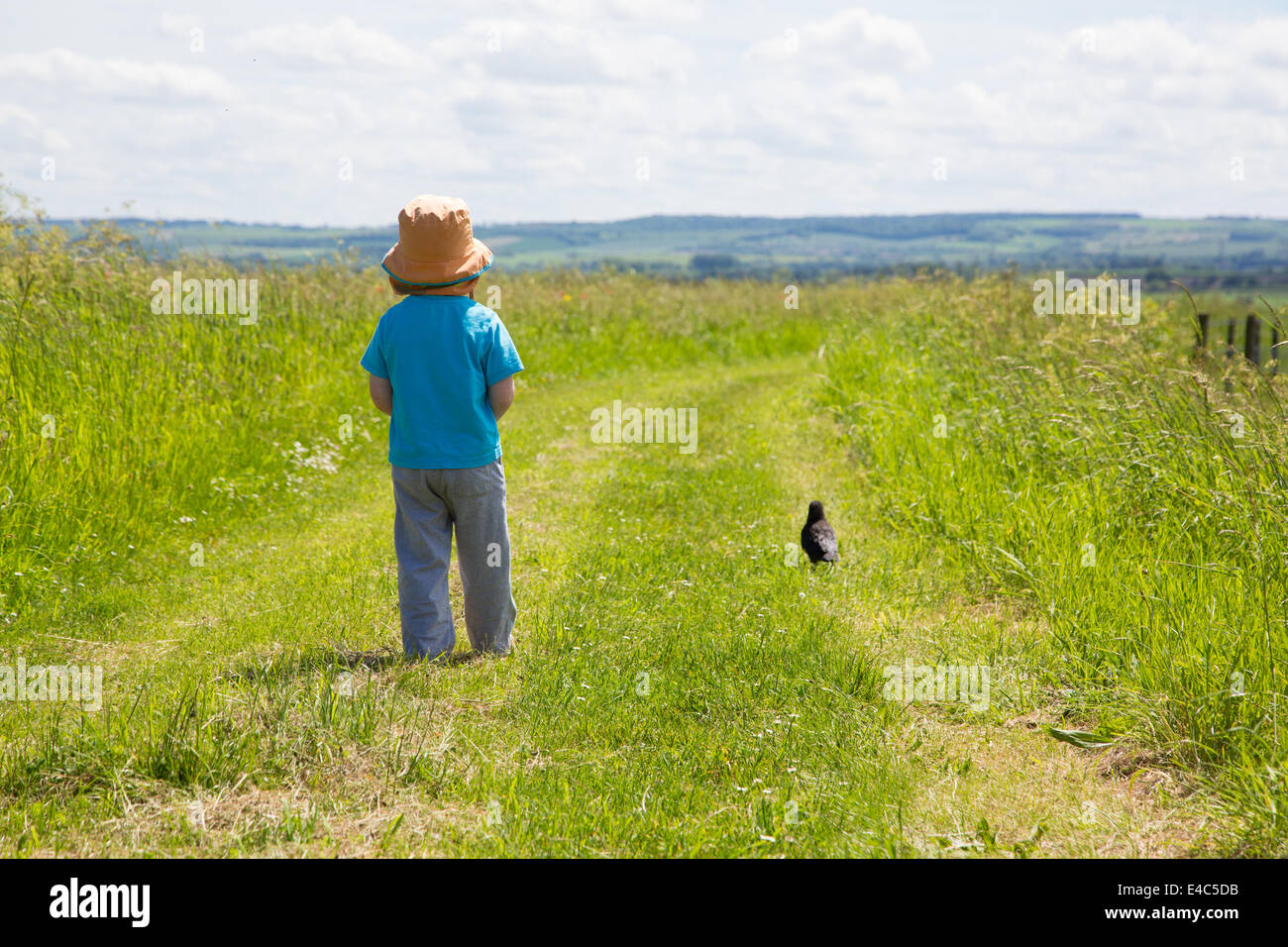 Small boy following a Crow Stock Photo - Alamy