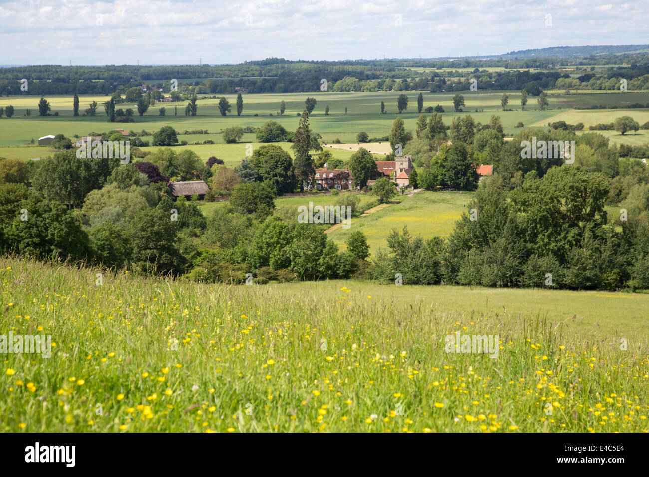 View of Little Wittenham from the Wittenham Clumps, Oxfordshire Stock ...