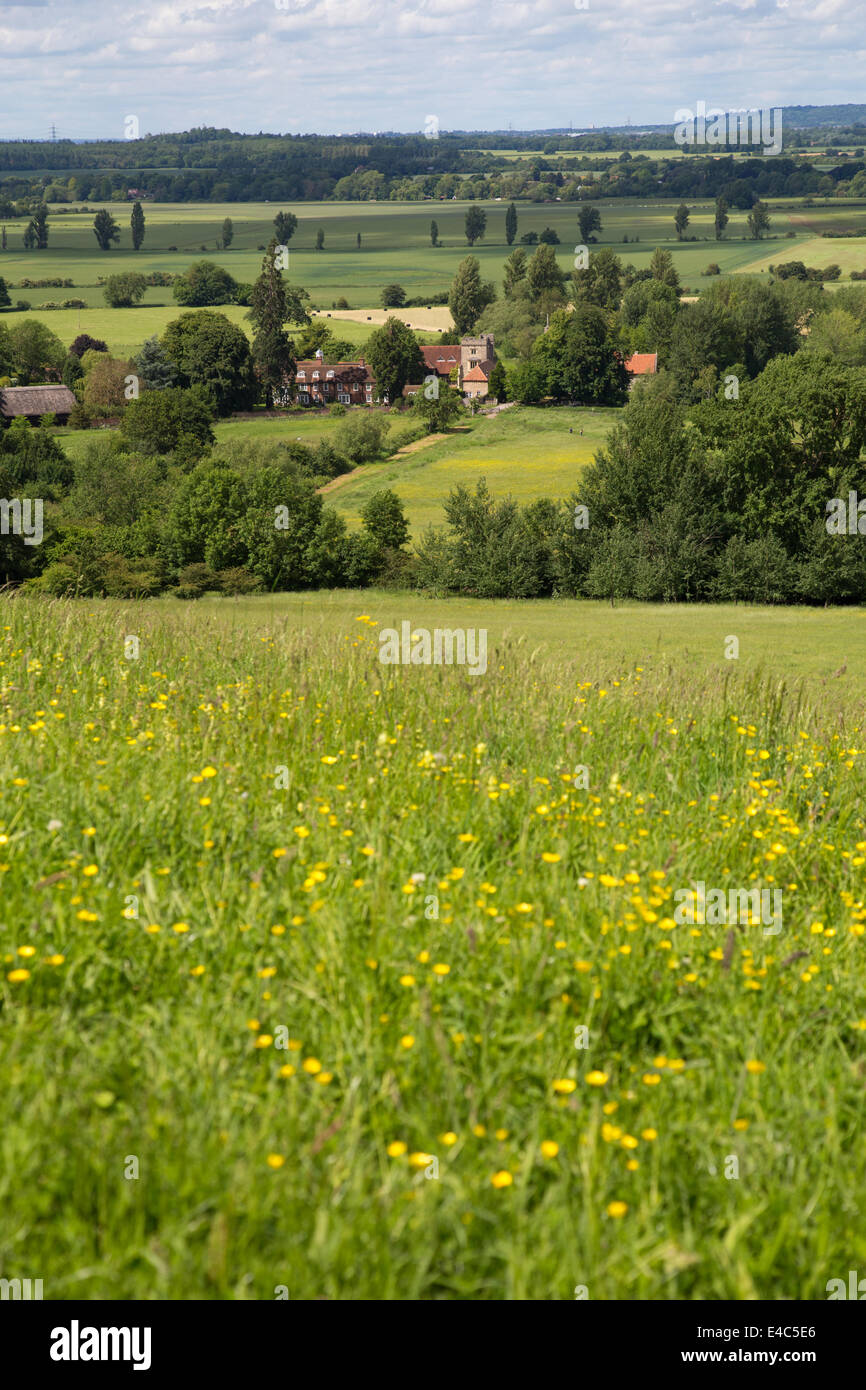 View of Little Wittenham from the Wittenham Clumps, Oxfordshire Stock ...