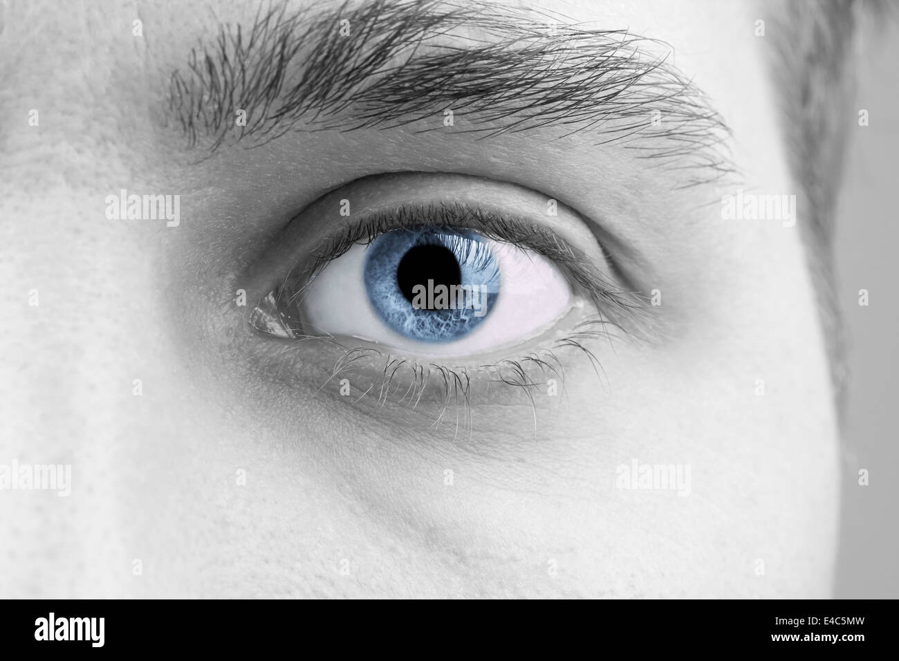 Human eye male close hi-res stock photography and images - Alamy