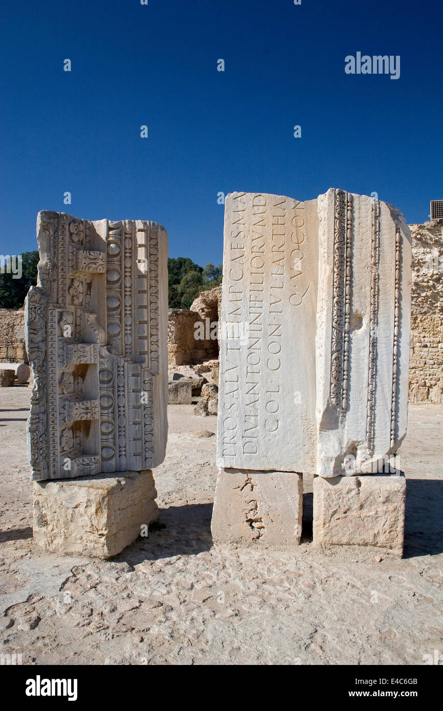 Carthage ruins, Tunisia Stock Photo - Alamy