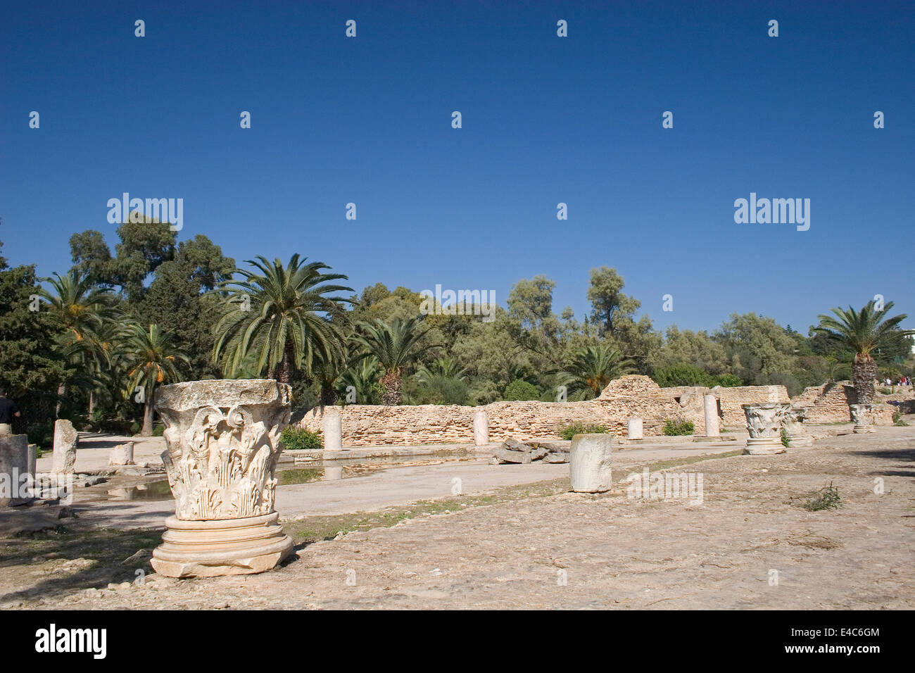 Carthage ruins, Tunisia Stock Photo - Alamy