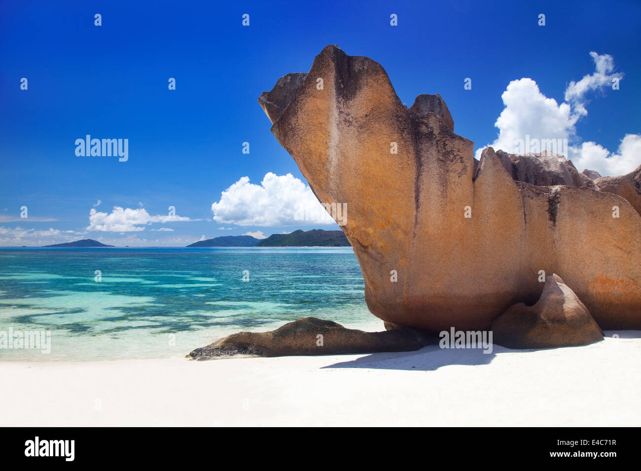 Tree with granite rocks hi-res stock photography and images - Alamy