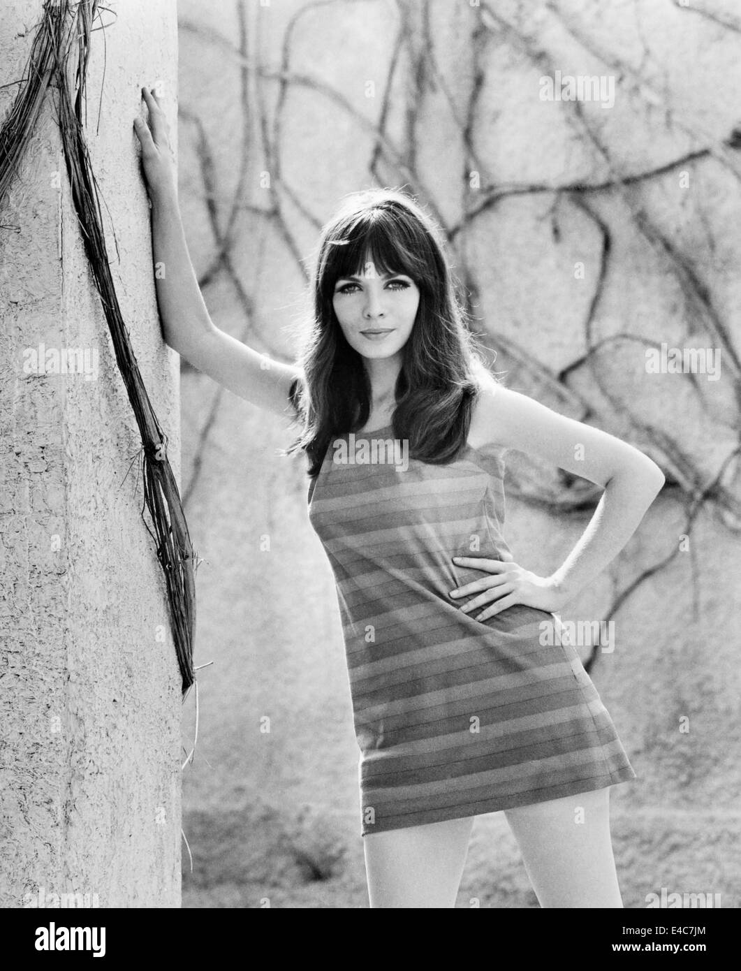 Elsa Martinelli, Italian Actress, Fashion Portrait, circa late 1960's ...