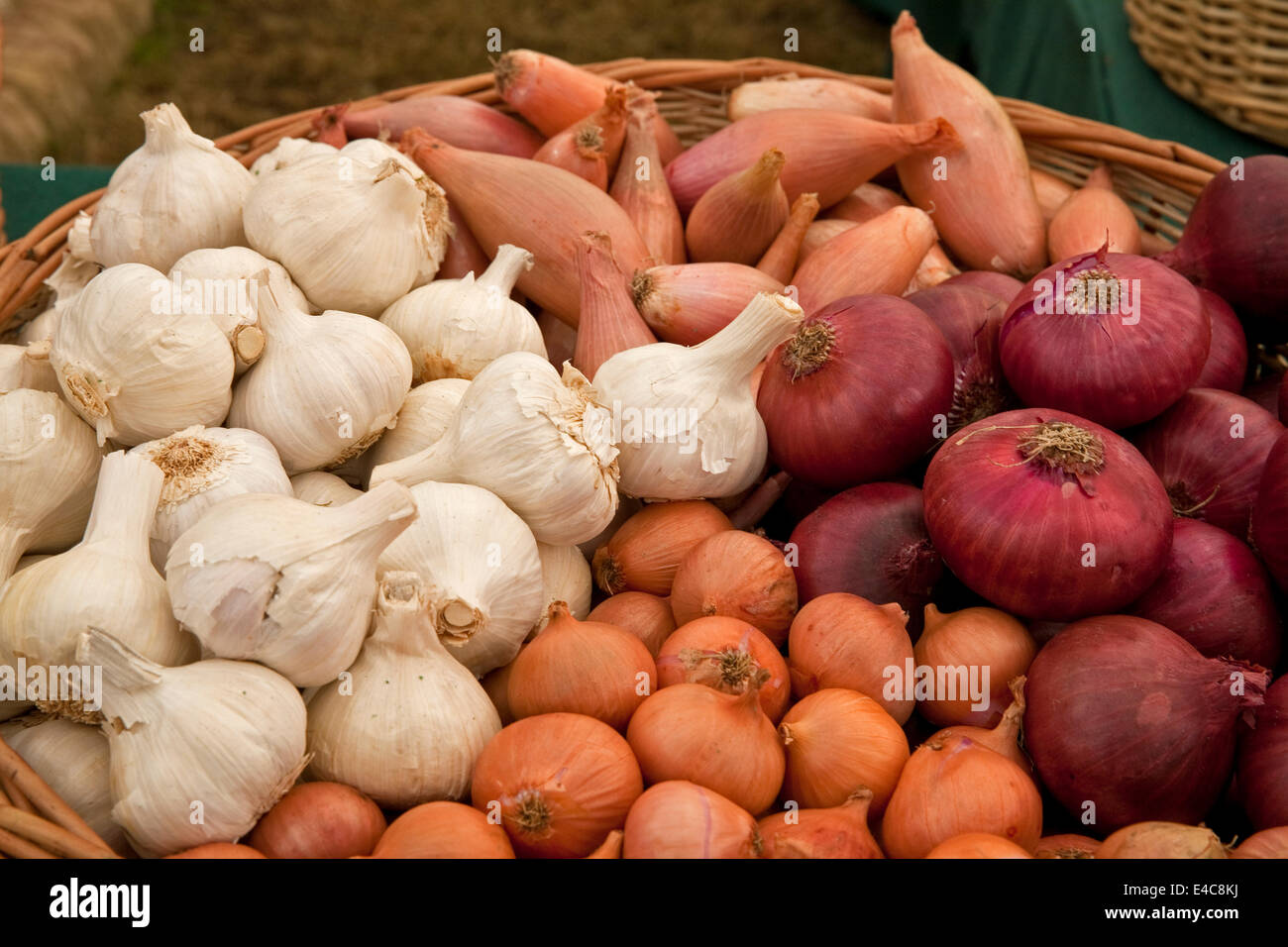 Waitrose flower garden hi-res stock photography and images - Alamy