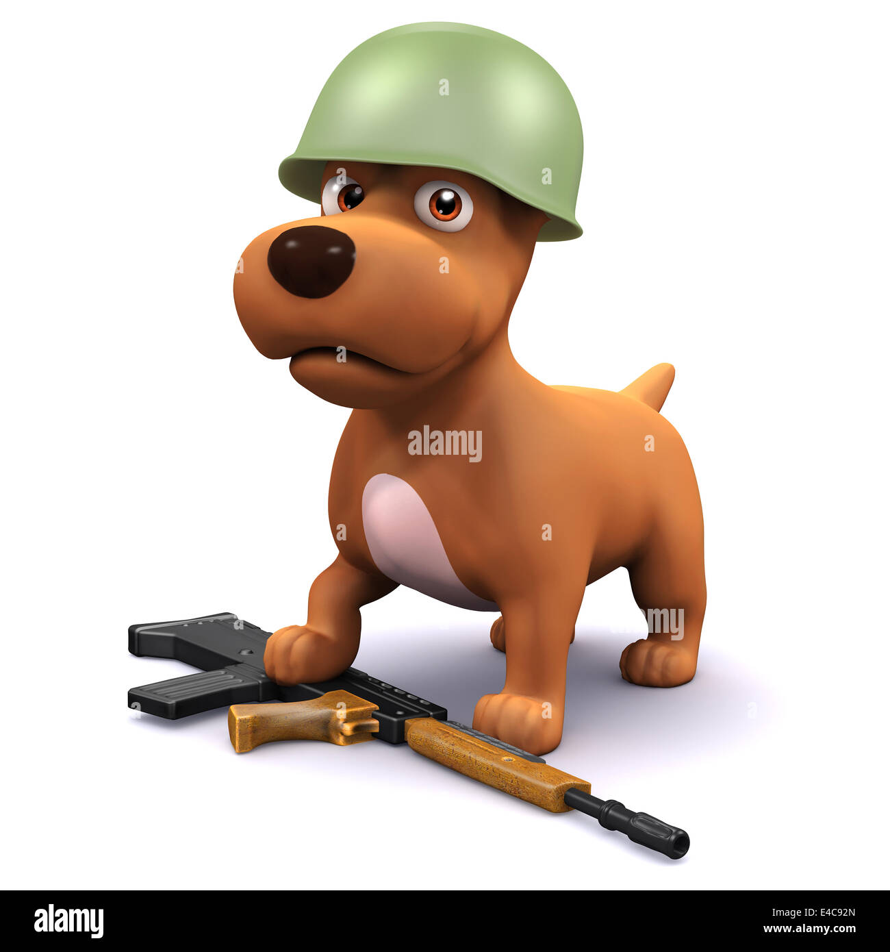 Dog dressed soldier hi-res stock photography and images - Alamy
