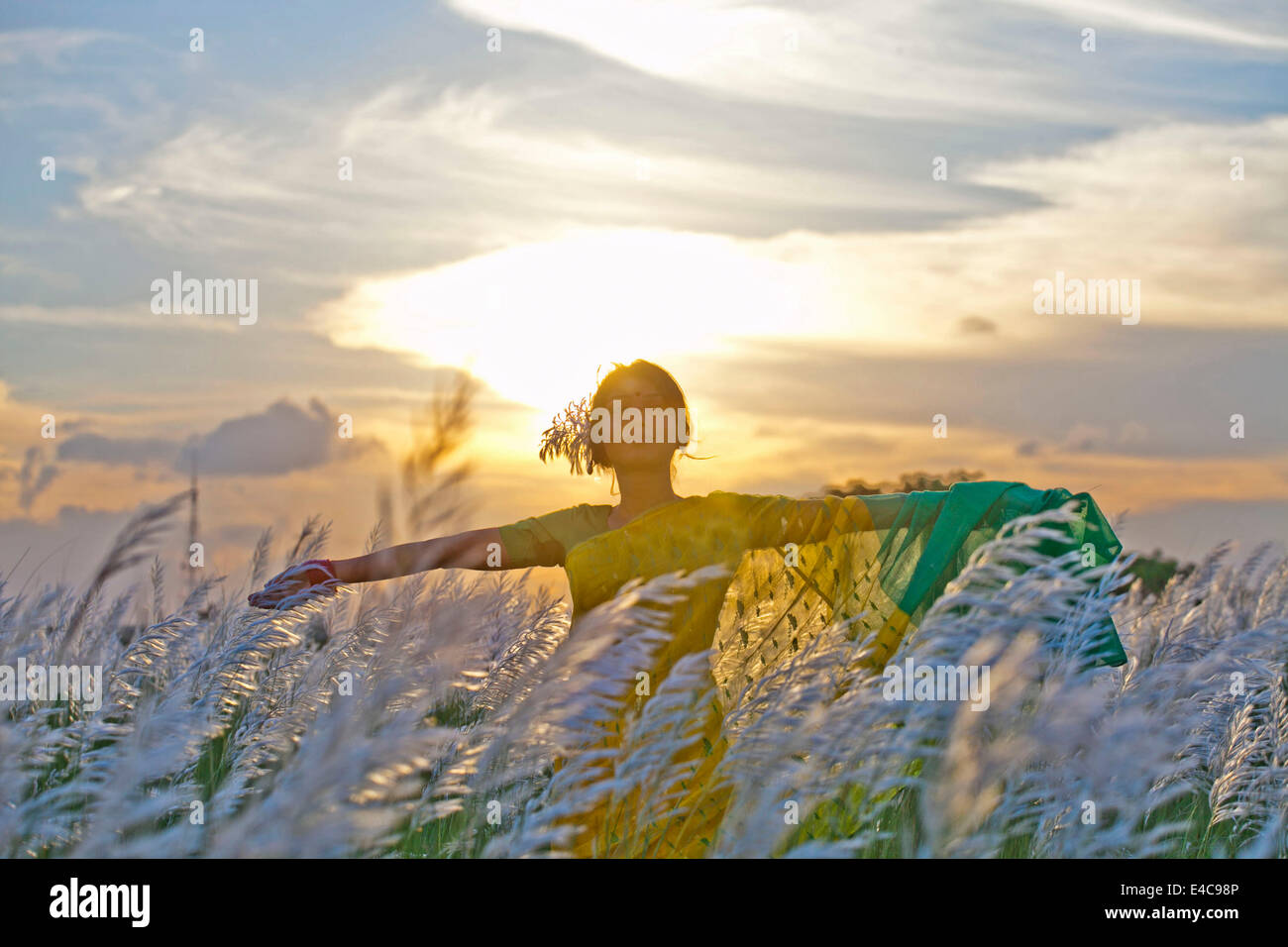 in autumn kash flowers are bloom around this country looks like ...