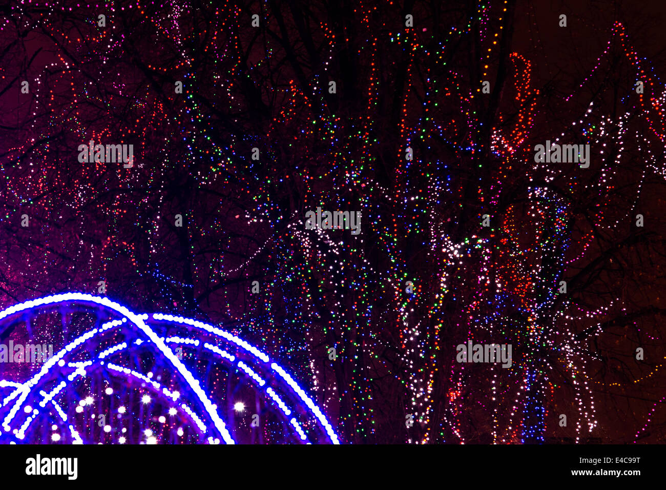 Midnight tree line hi-res stock photography and images - Alamy
