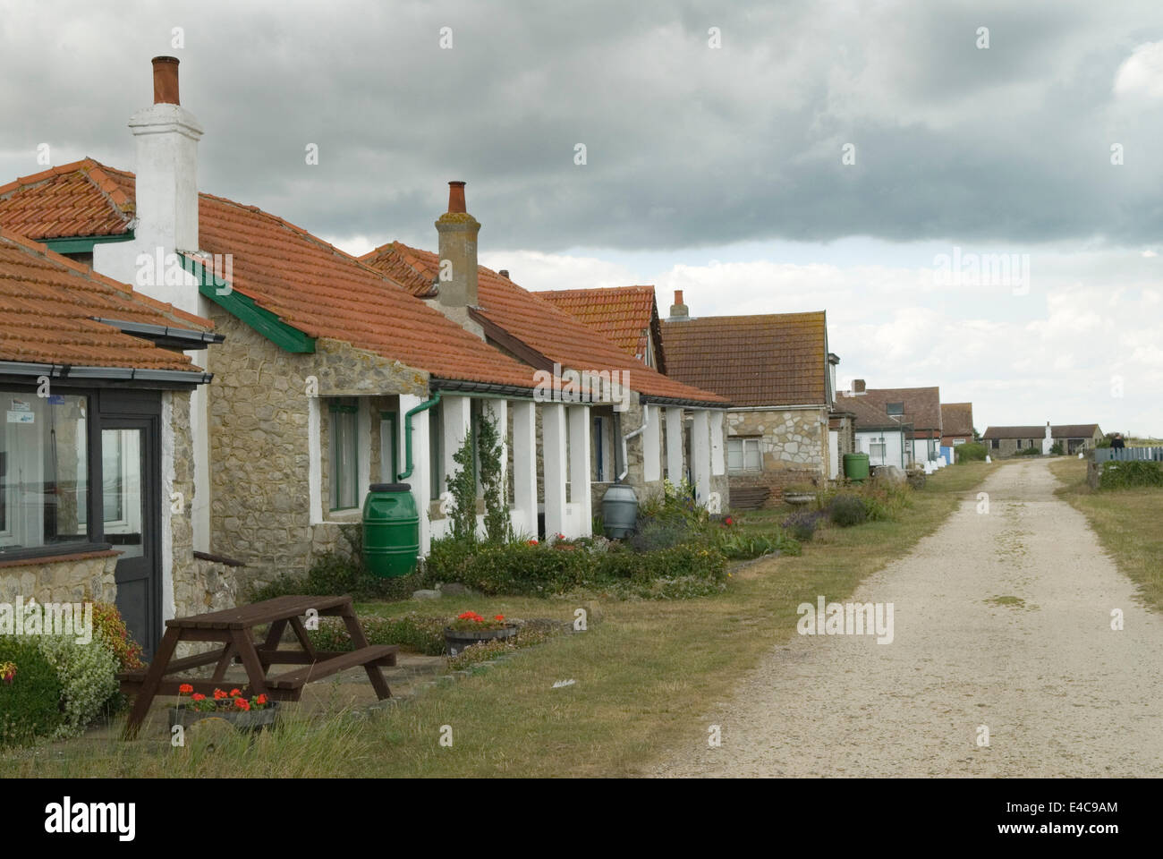 Shellness hi-res stock photography and images - Alamy