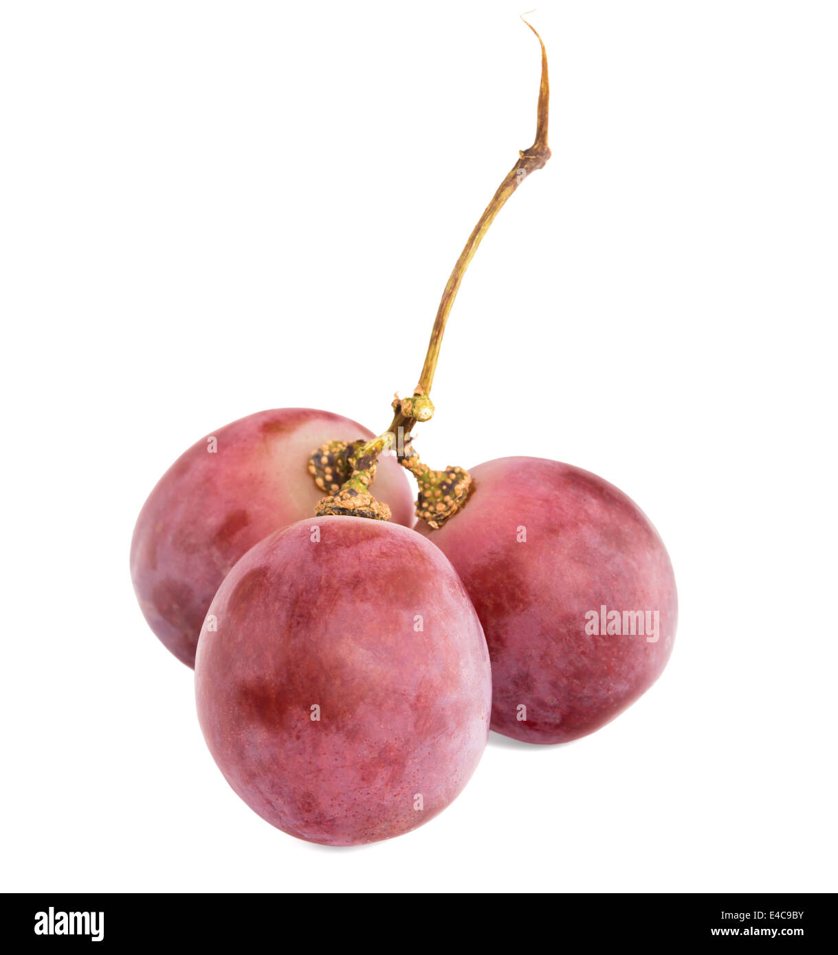 Grapes on a white background, isolated Stock Photo - Alamy