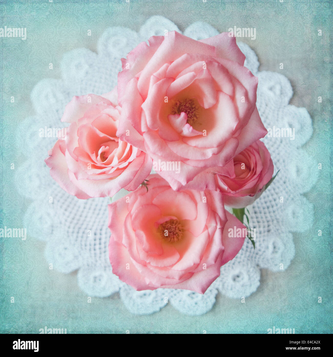 Vintage shabby chic background with roses Stock Photo - Alamy