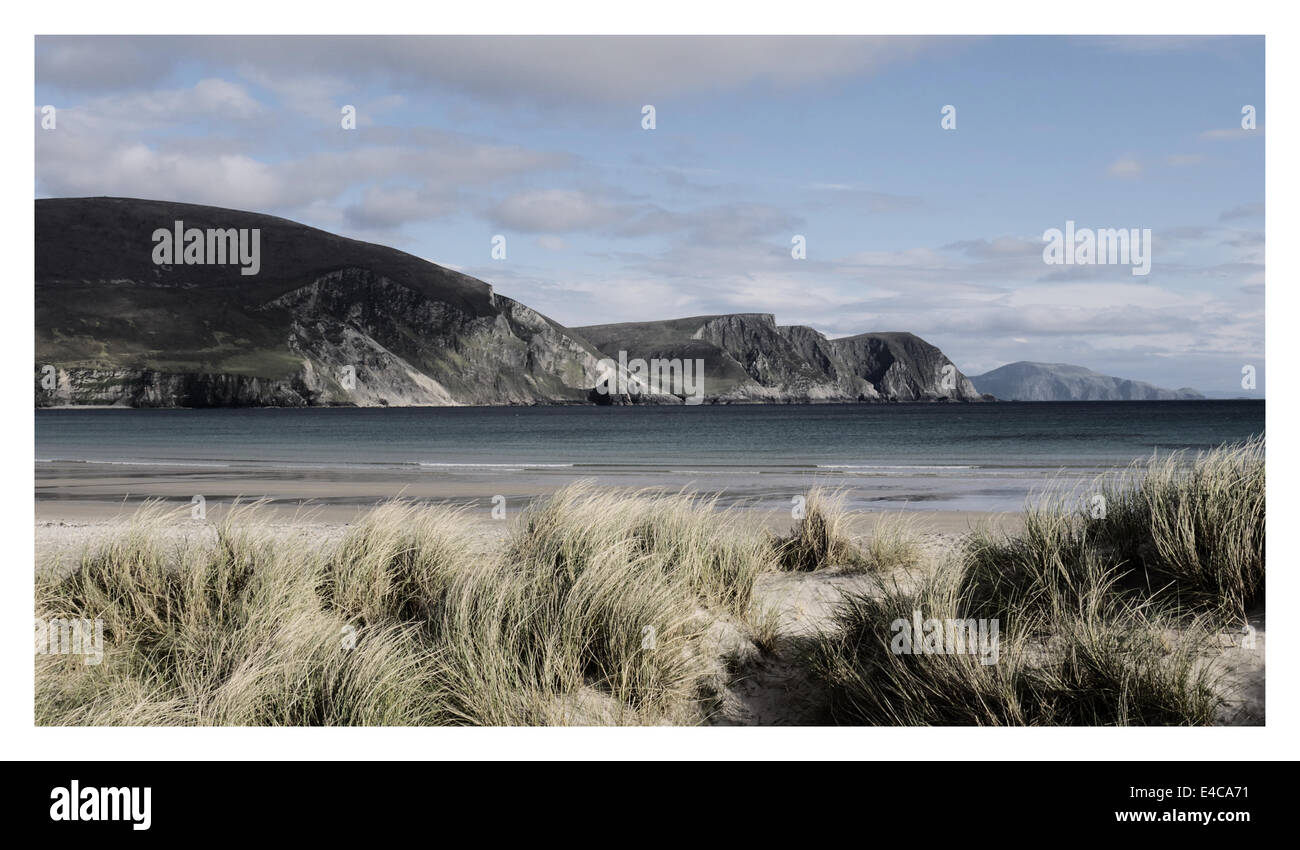 Marron grass hi-res stock photography and images - Alamy