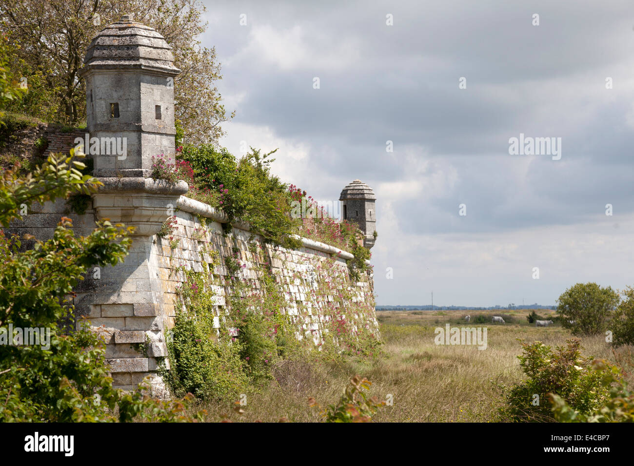 The ancient royal harbour of Brouage (France), sanded up nowadays ...