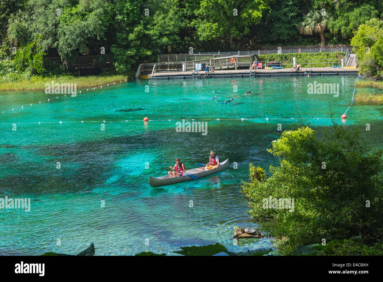 Girasol Rainbow Springs