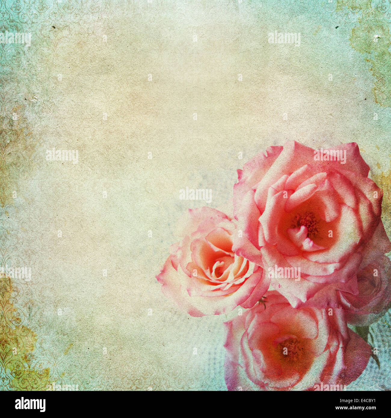 Vintage shabby chic background with roses Stock Photo - Alamy