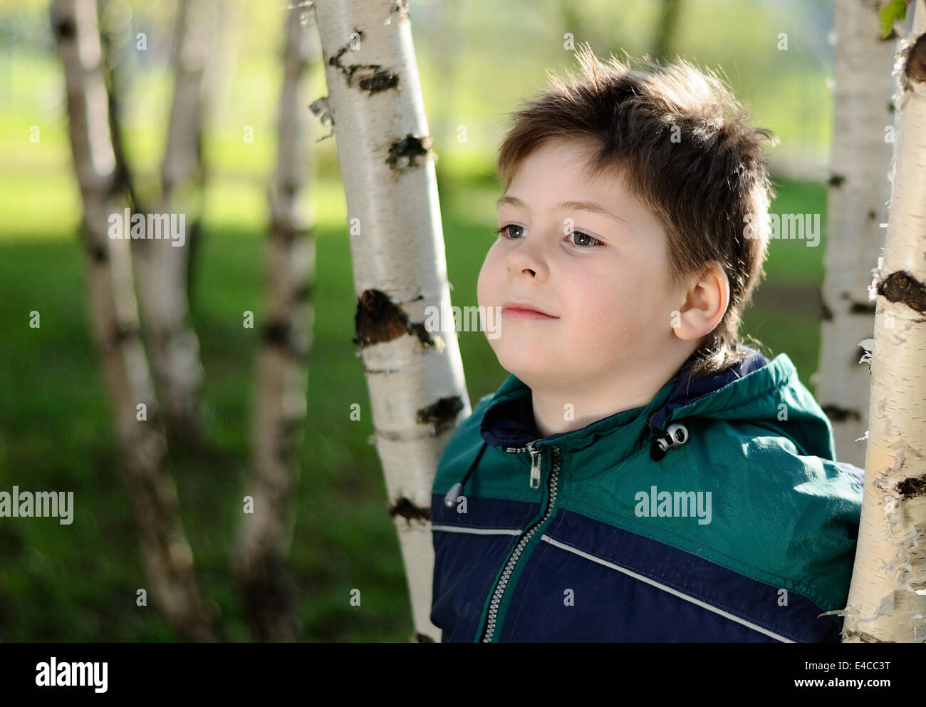 The Boy in the birch forest in early spring Stock Photo - Alamy