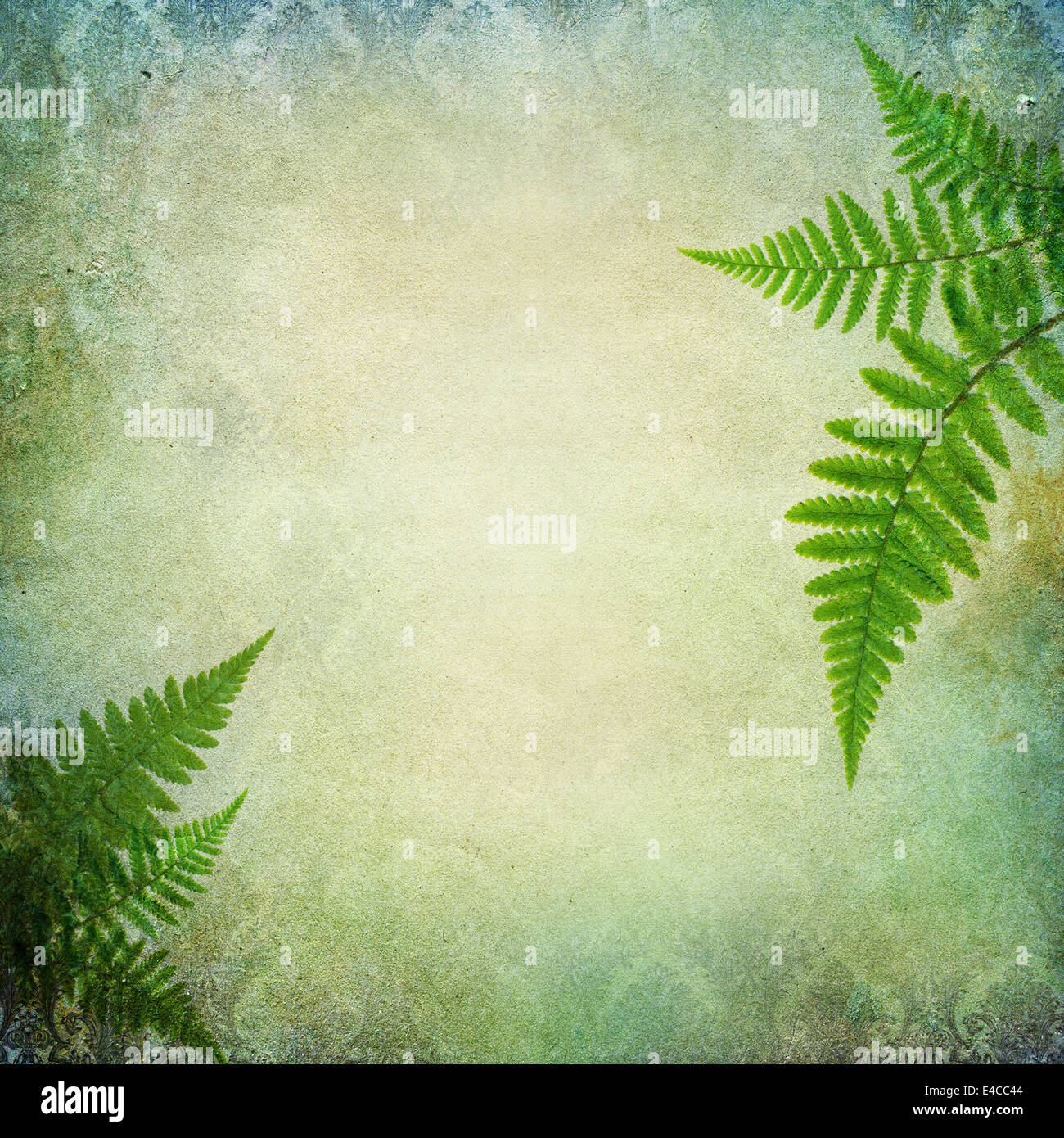 Vintage background with fern leaves Stock Photo - Alamy