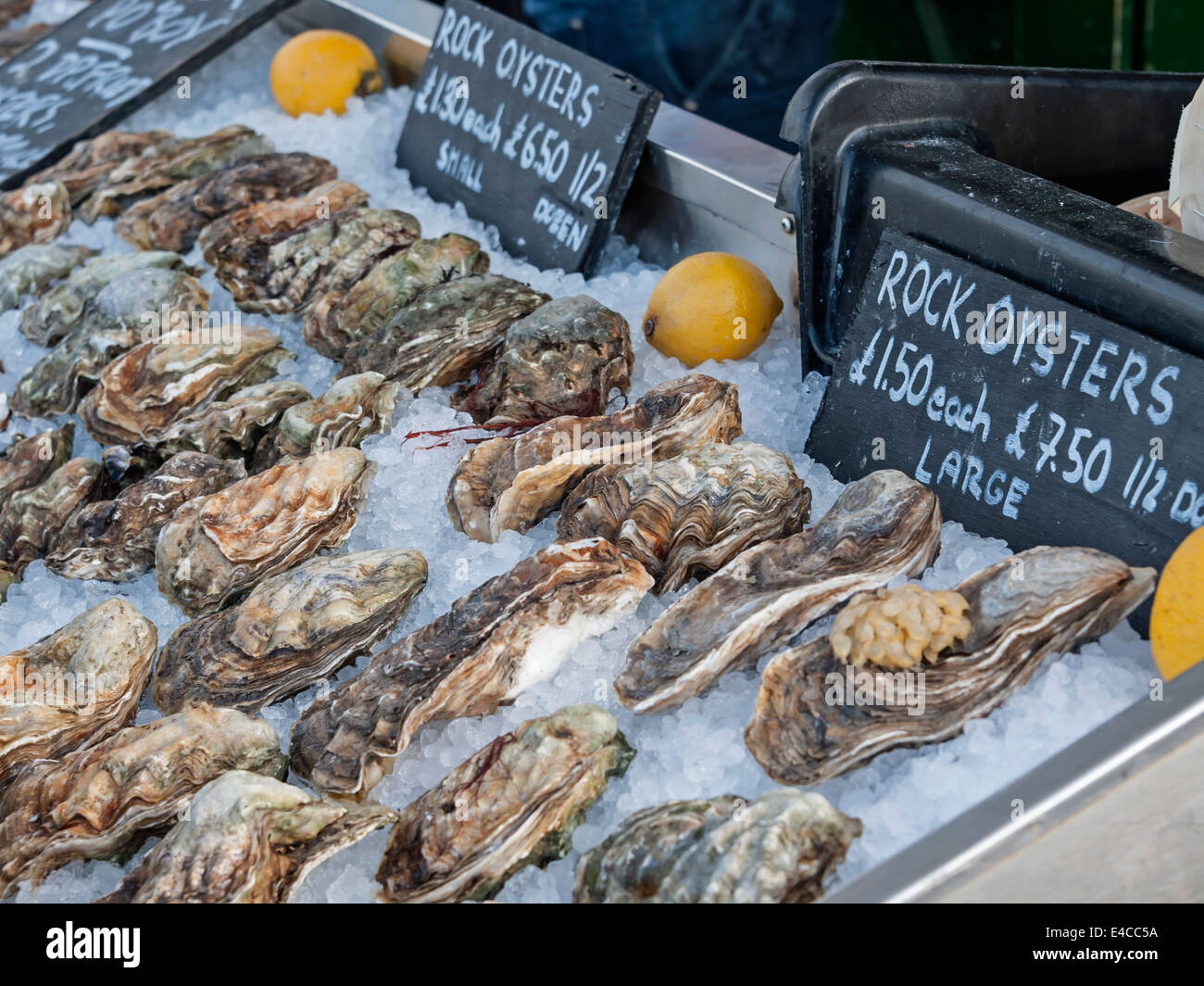 Whitstable rock oyster hi-res stock photography and images - Alamy