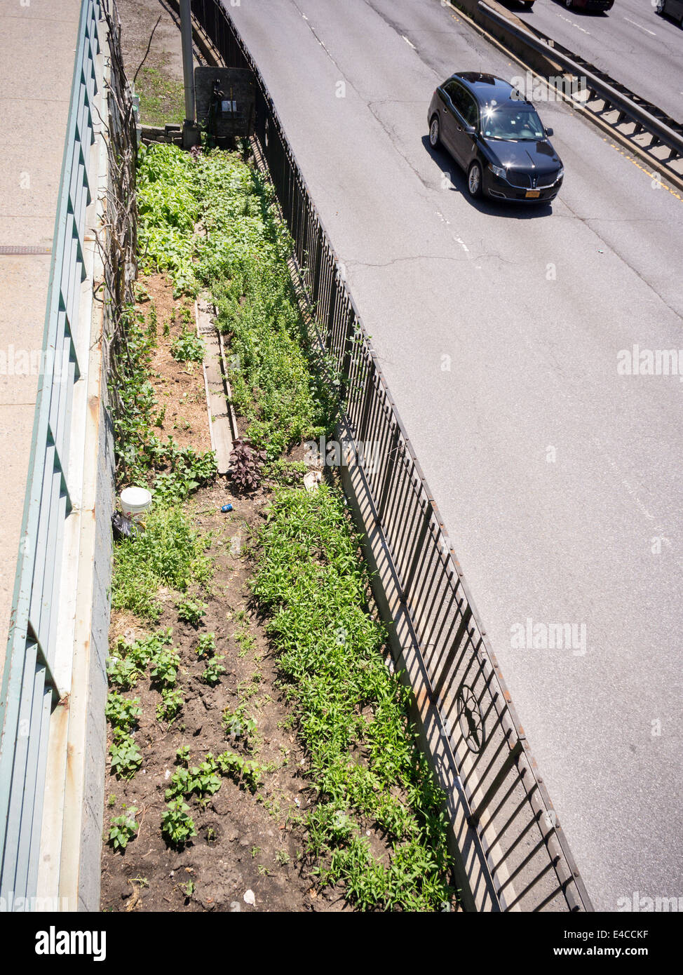 Land squatter hi-res stock photography and images - Alamy