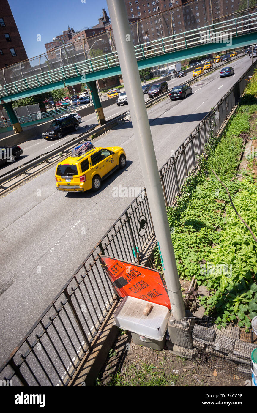 Planting drive hi-res stock photography and images - Alamy