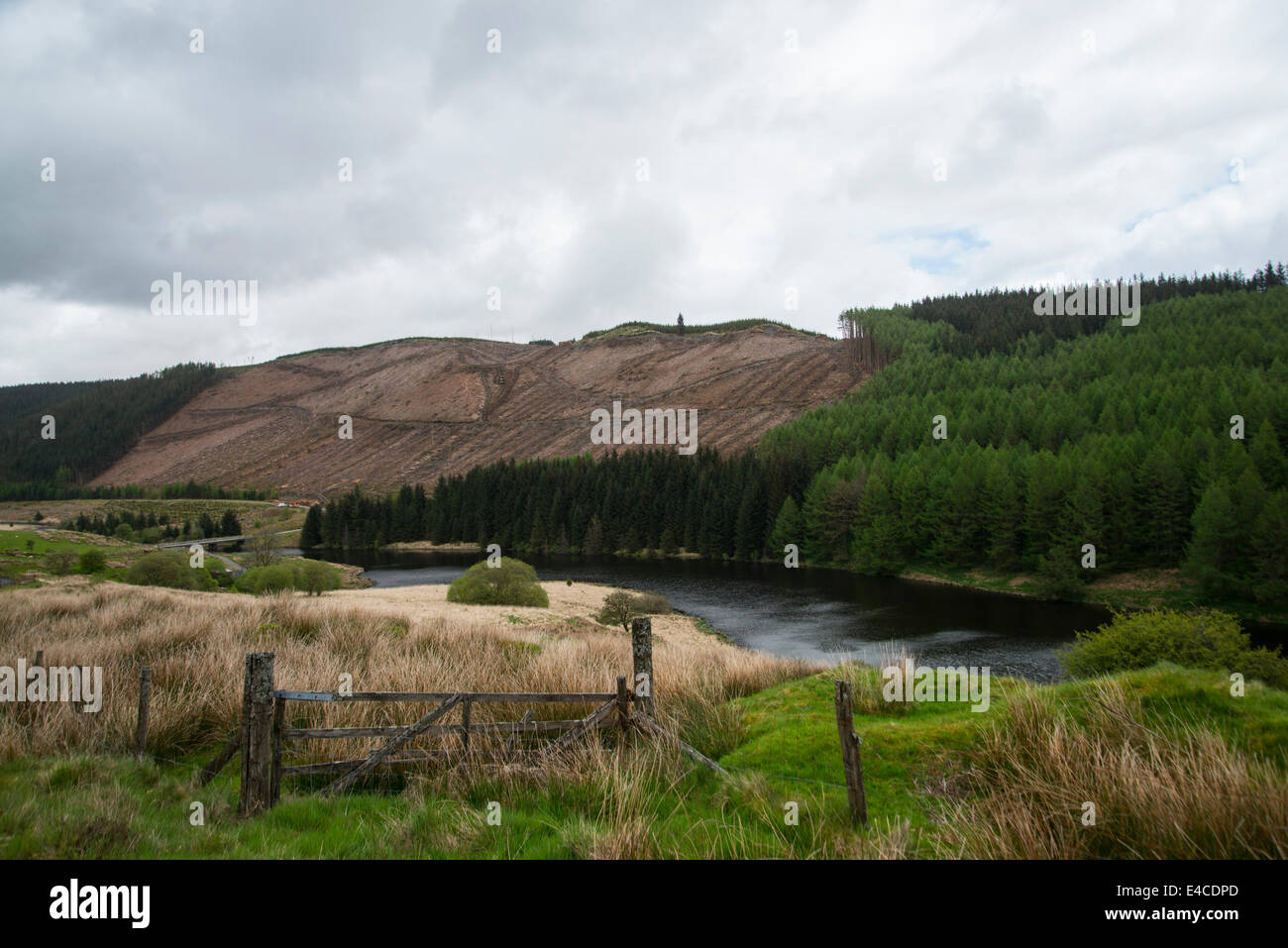 Forestry commission wales hi-res stock photography and images - Alamy