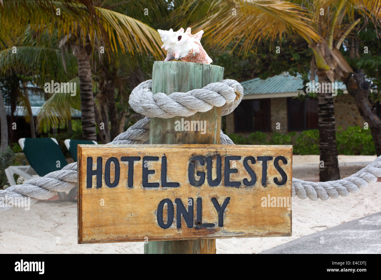Hotel Guests Only – Tropical Beach Sign and Conch Shell Stock Photo - Alamy
