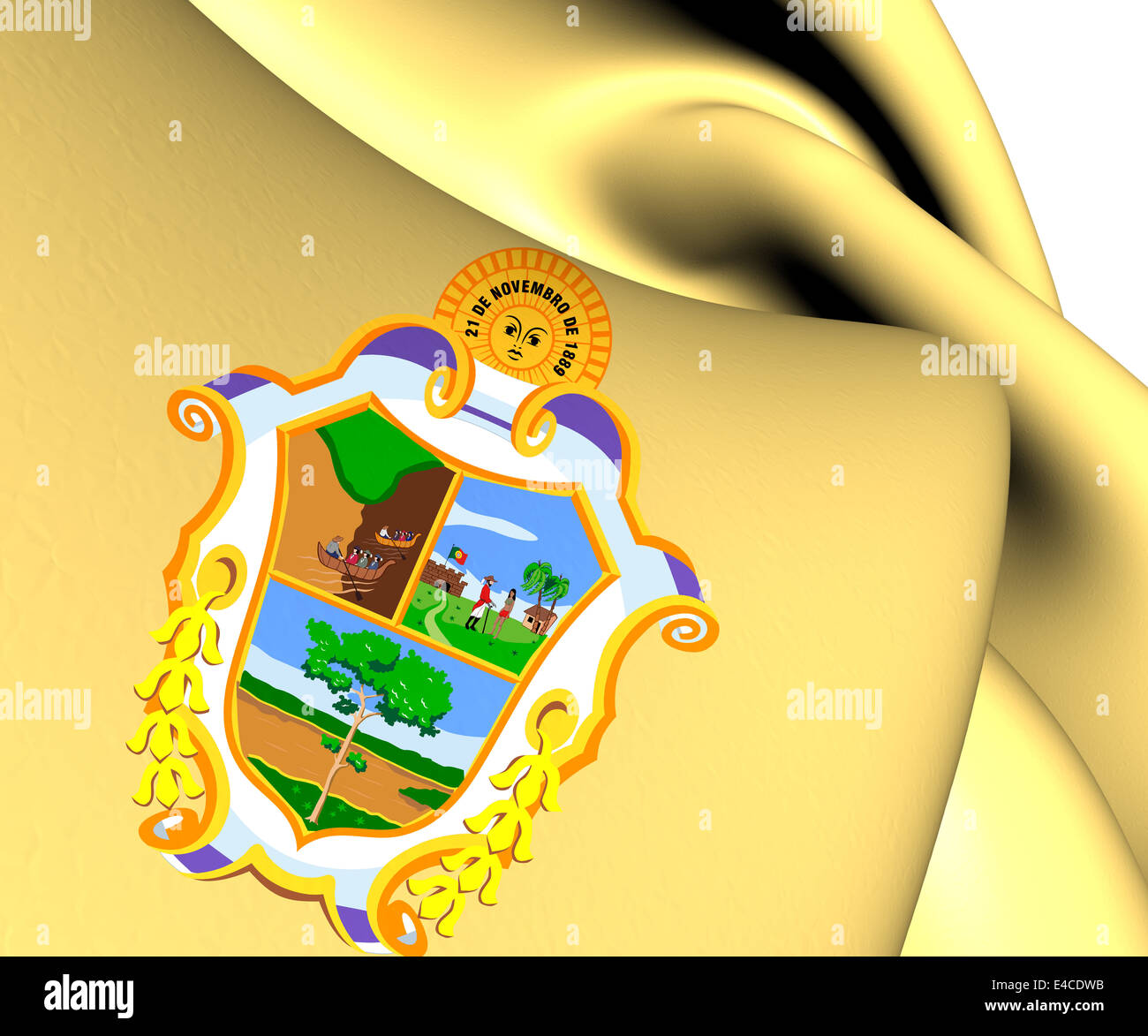 Flag of Manaus, Brazil. Close Up Stock Photo - Alamy