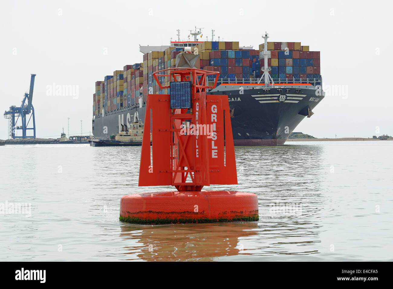 Msc gaia container ship hi-res stock photography and images - Alamy