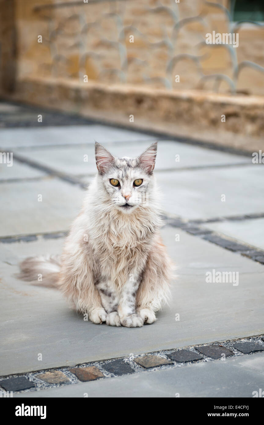 Stone terrace hi-res stock photography and images - Alamy