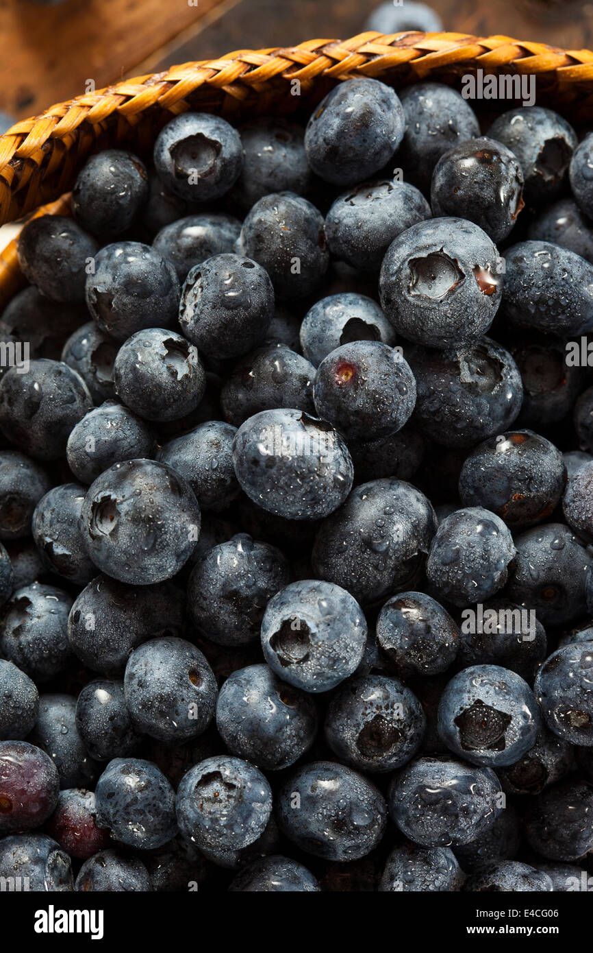 Blueberries hi-res stock photography and images - Alamy