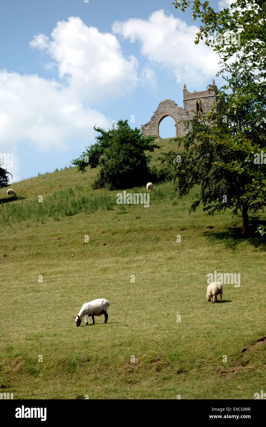 Burrow Mump and chapel ruins on the Somerset Levels, England Stock ...