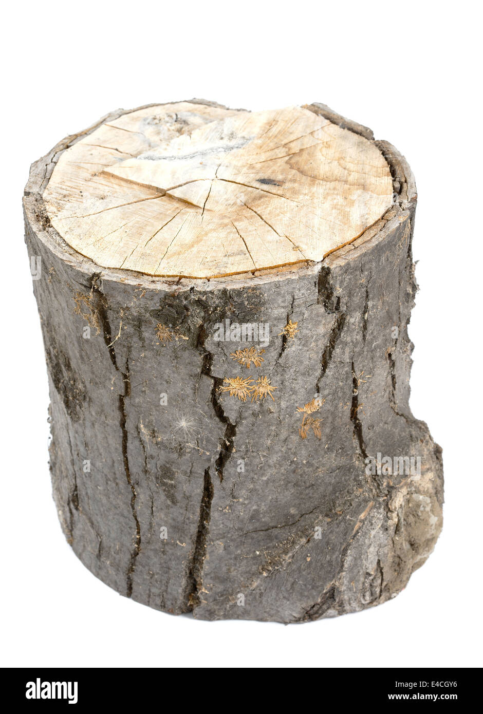 Wooden log Cut Out Stock Images & Pictures - Alamy