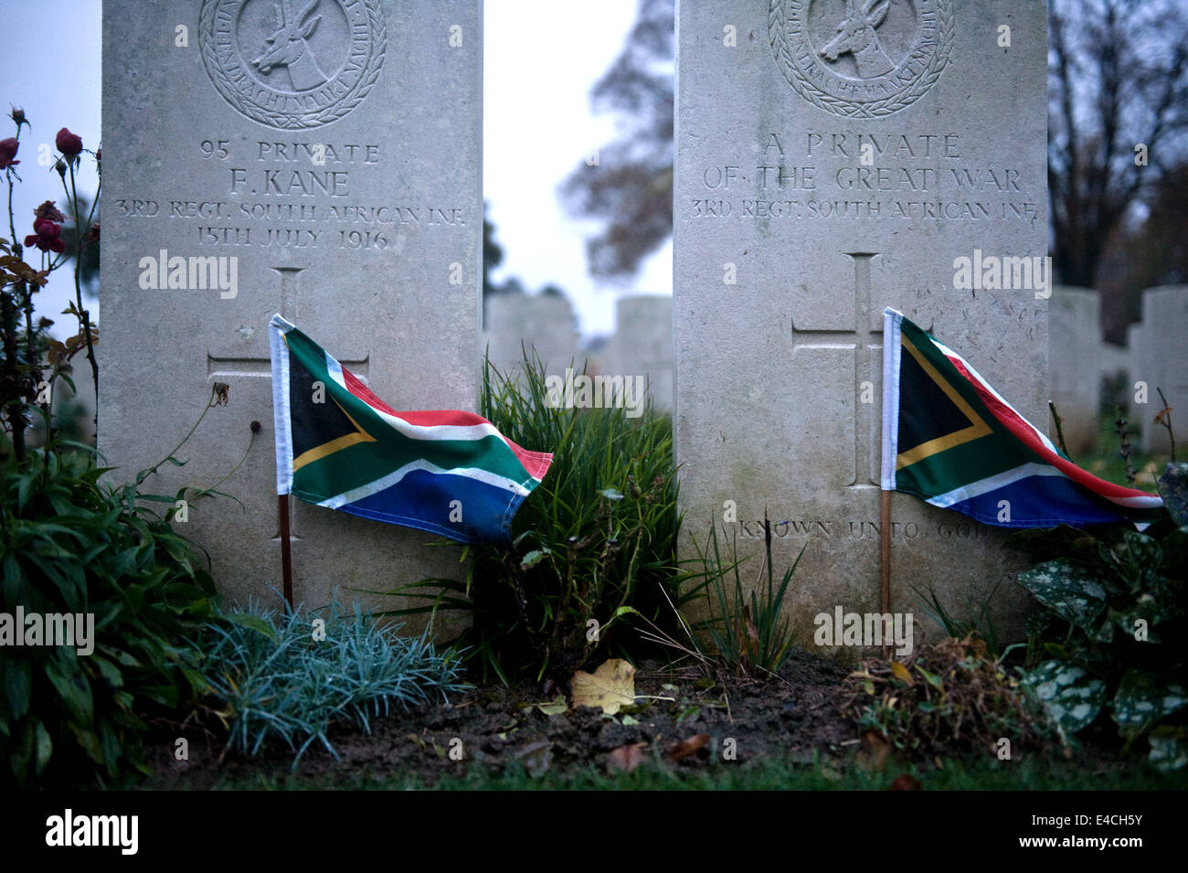 South African tombstones in Delville Wood Cemetery the third largest ...